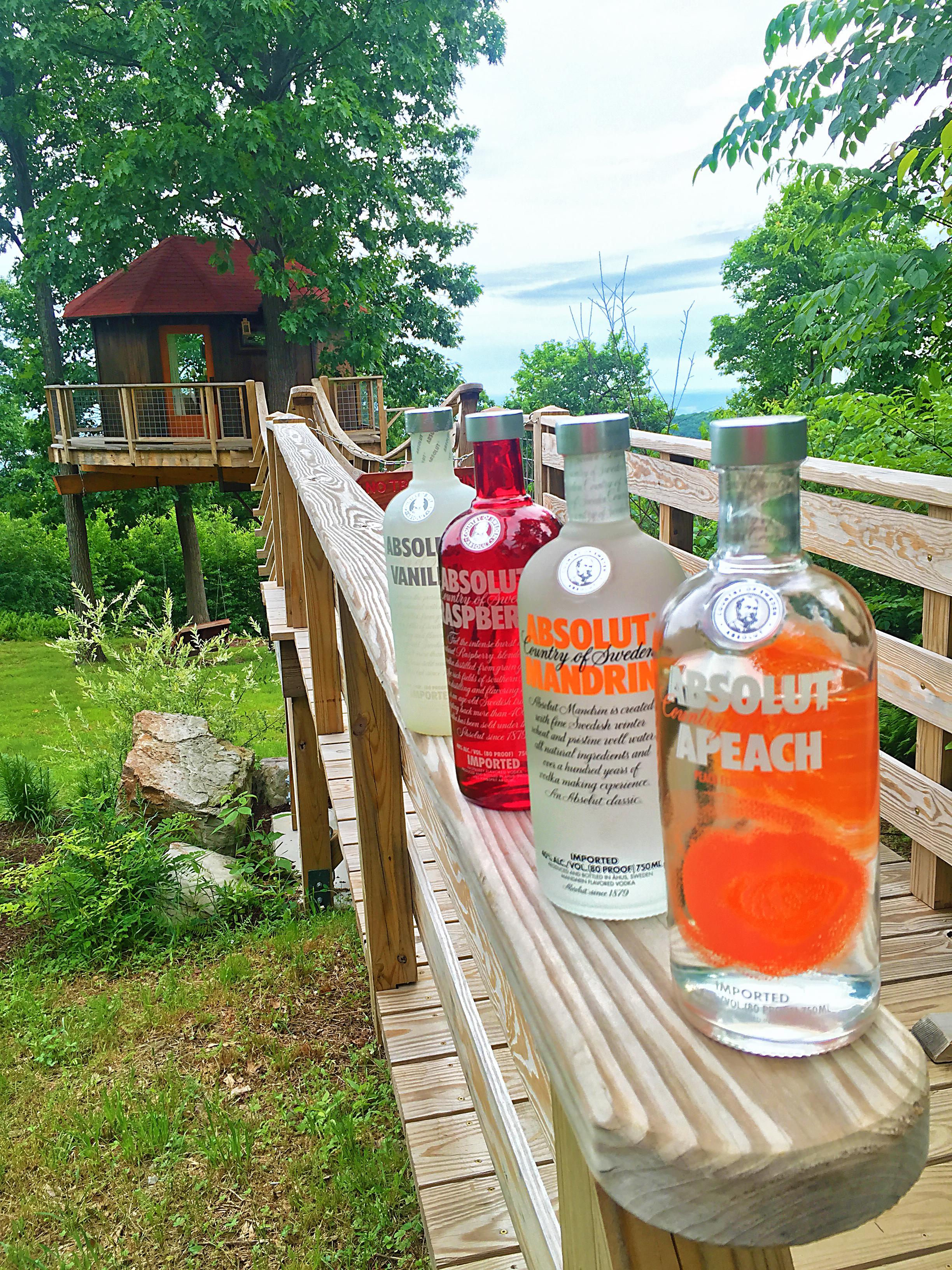 Summit Inn Resort Treehouse Masters Absolute Vodka Contest | The ...